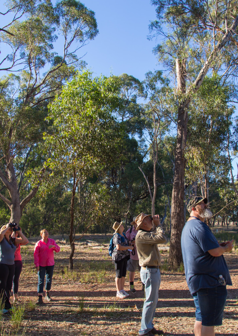 Breakfast with the Birds - Activities in the Park